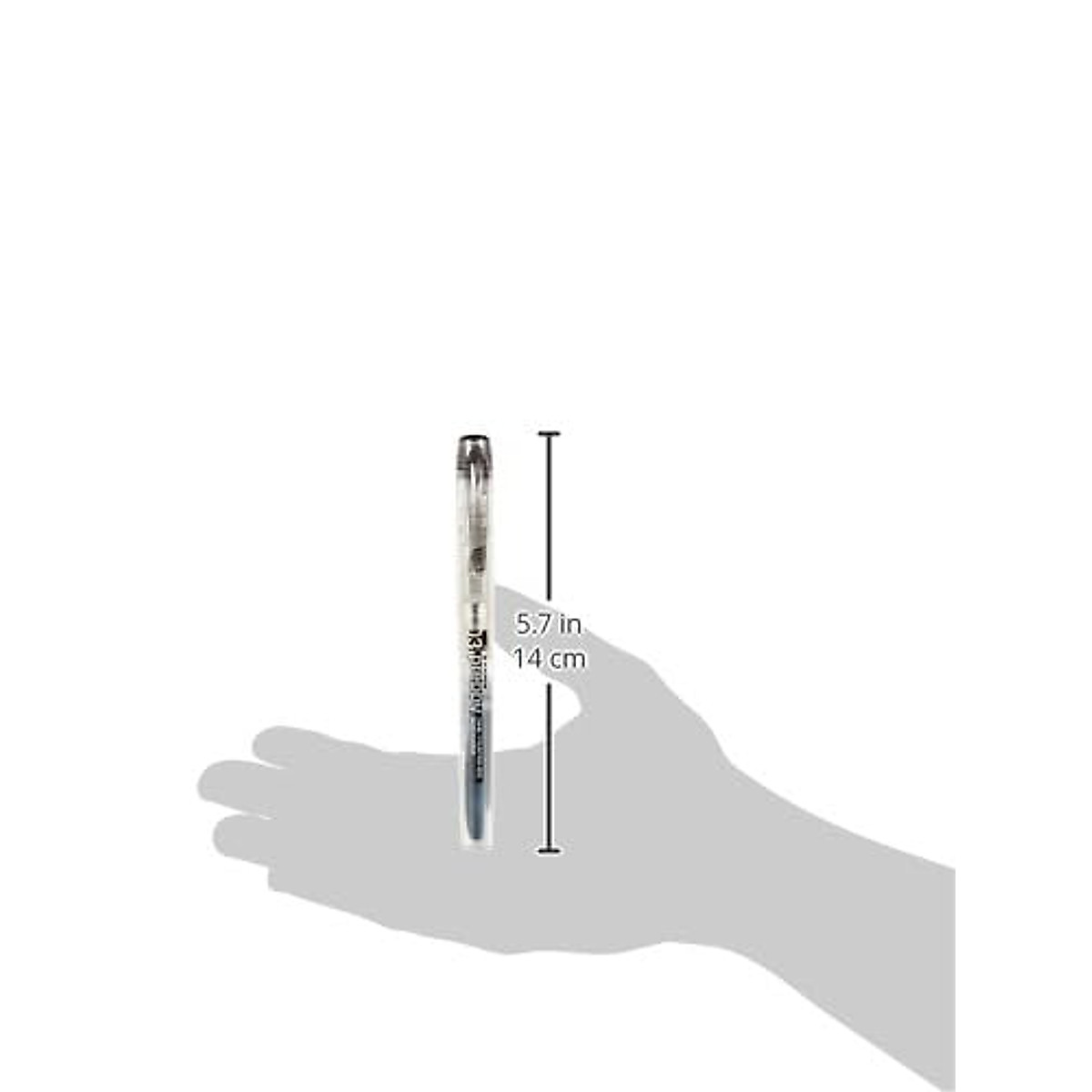 Platinum Fountain Pen, Preppy, Fine Nib, Black (PPQ-200-#1)