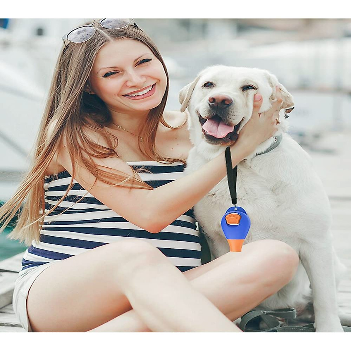 Dog Training Clicker with Whistle and Wrist Strap - Positive Behavior Reinforcer for Pets - All Ages, Puppy and Adult Dogs - Use to Reward and Train - Dog Whistle Included (Blue)