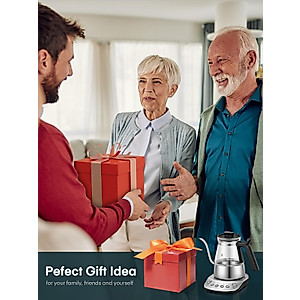 Aiheal Electric Gooseneck Kettle, Glass Electric Tea Kettle with 4 Temperature Control Presets and Keep Warm Function, Pour Over Kettle for Coffee and Tea, Hot Water Boiler, Quick Heating, 1200W/0.8L