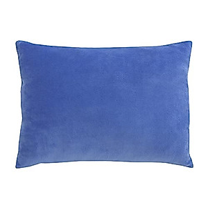 Sesame Street Elmo, Big Bird, Cookie Monster, & Oscar The Grouch, Blue, Red, Green, & Yellow Decorative Toddler Pillow, Blue, Red, Yellow, Green