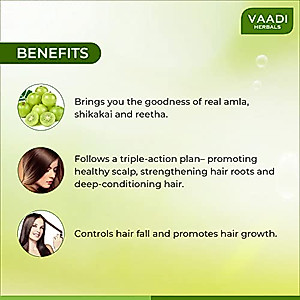 Vaadi Herbals Amla with Shikakai & Reetha Shampoo - Hair Fall Control Shampoo - ALL Natural Herbal Shampoo - Shampoo for Hair Loss - Shampoo for All Hair Types - 11.8 Ounces