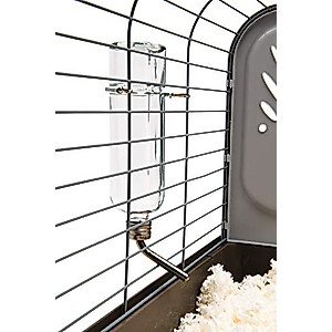 Lixit Chew Proof Flat Sided Water Bottles for Rabbits, Ferrets, Rats, Birds, Hamsters, Guinea Pigs, Chinchillas Gerbils and Other Small Animals. (12 Ounce (Pack of 1), Clear)