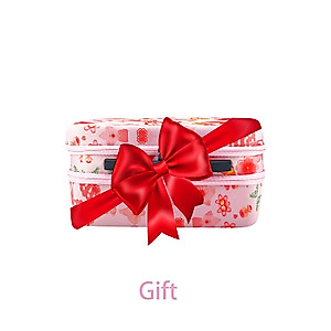 LIRUNQIU Diamond Painting Storage Containers, 240 Slots Diamond Art Accessories and Tools Kits Storage Box(Pink)