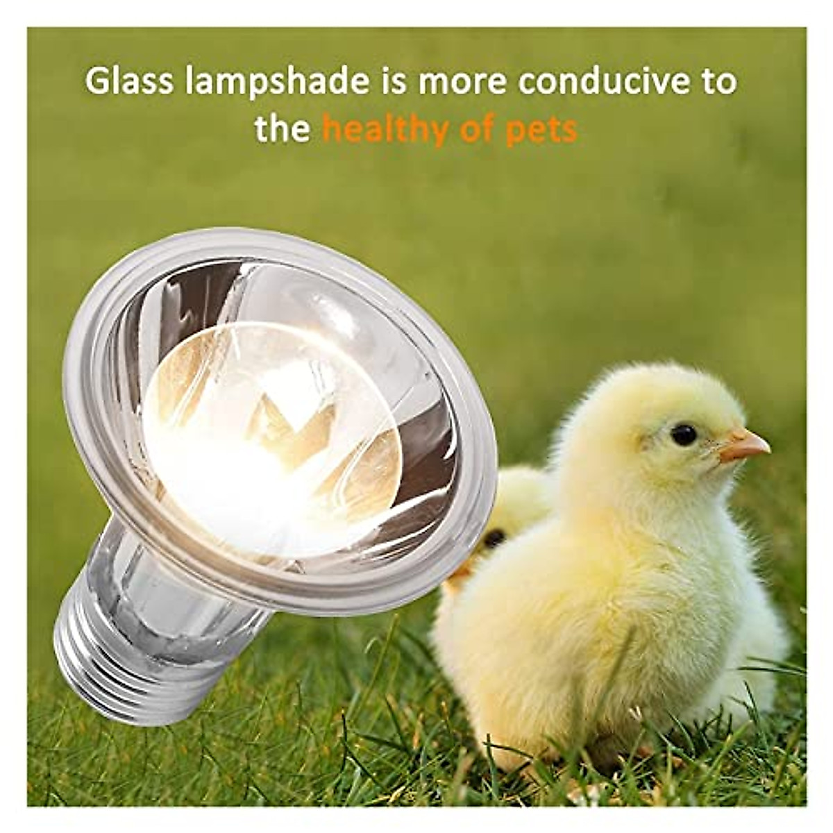 Dehydrator Pet Warmer Chicken Coop Heaters 3 Modes Adjustable Wattage Lighting Function Brooding Heating for Cats Dogs Poultry