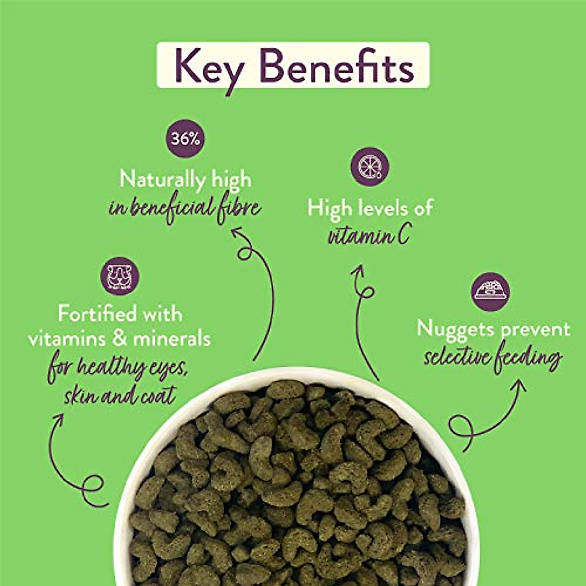 Burgess Excel Nuggets With Mint Guinea Pig Food 10kg