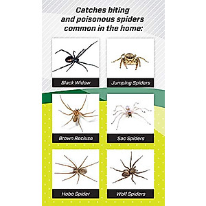 RESCUE! Spider Traps – Catches Brown Recluse, Hobo Spiders, Black Widows & Wolf Spiders – 3 Traps