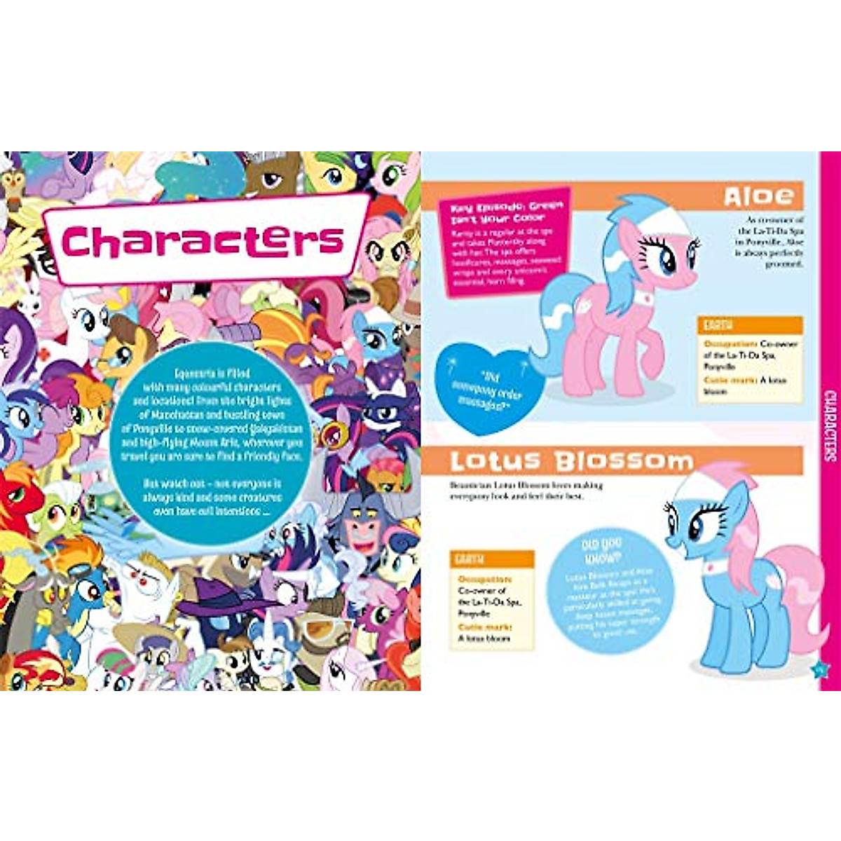 My Little Pony: My Little Pony Character Guide