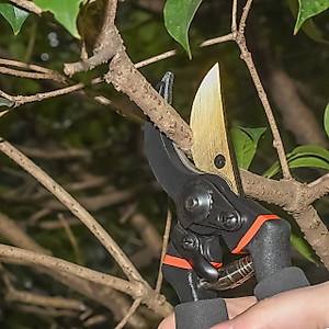 Pruning Shears Garden Scissors Clippers, 1 Pack 8" Professional Sharp Bypass Pruning Shears and 1 Pack 6.5 Inch Gardening Scissors Hand Pruner Pruning Shear with Curved Precision Blades