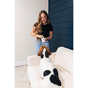 Calming Dog Treats - 90 Chews with Natural and Human-Grade Ingredients - Dog Calm Supplement to Calm Anxiety for Dogs - Effective Calming Aid for Dogs Good Trouble Pets