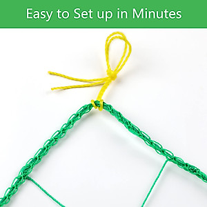 Plant Trellis Netting for Climbing Plants Outdoor Heavy Duty Plastic Garden Trellis Netting 27 Strands Plant Climbing Net Strong Support for Clematis, Cucumber,Tomatoes and Vine Plants （5.9x5.9FT）