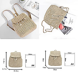 Felice Ann Women Medium Straw Woven Backpack Flap Drawstring Daypack