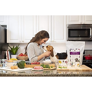 Dr. Harvey's Solaris Immune Support Whole Food Supplement for Dogs, Morning and Evening Formula, 2.5 Ounces (2 Pack)