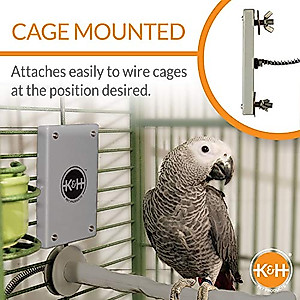K&H Pet Products Snuggle-Up Bird Warmer, Caged Bird Heater for Small Exotic Birds Like Parakeets or Cockatiels, Bird Heater for Cage - Gray Small 3 X 5 Inches