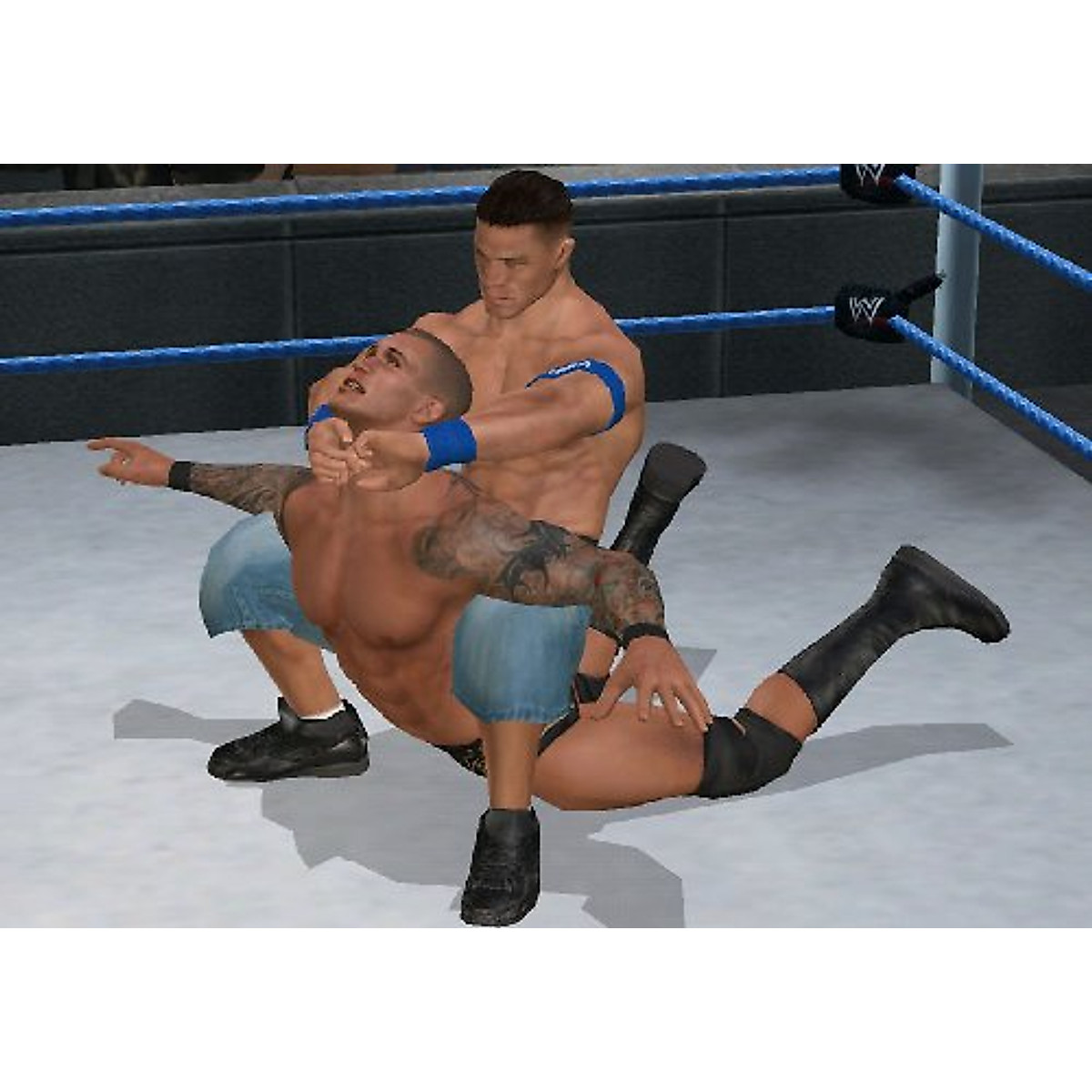 WWE SmackDown vs. Raw 2010 - Nintendo Wii