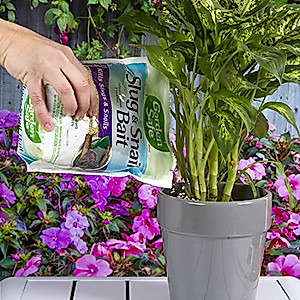 Garden Safe Slug & Snail Bait, Kills Slugs & Snails Within 3 to 6 Days, For Lawn and Garden, Can Be Used Around Pets and Wildlife, 2 lb