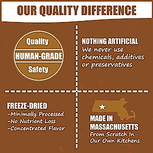 Whole Life Pet Freeze Dried Diced Eggs for Dogs and Cats. Fully Cooked Just Add Water. Healthy Skin, Strong Bones, Picky Eaters. Human Grade Quality