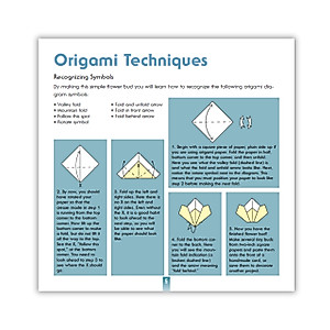 Amazing Origami Kit: Traditional Japanese Folding Papers and Projects [144 Origami Papers with Book, 17 Projects]