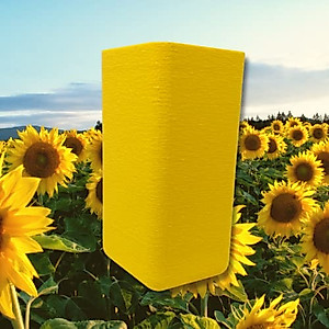 BOGLETS - Organizer Compartment Charm Accessory Compatible with Bogg Bags - Keep Sunglasses or Sunscreen Handy with your Tote Bag - Fits on the Inside or Outside of the Bag (Yellow)