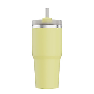 YOUEXPERT 14 oz Tumbler with Straw, Insulated Tumblers with Lid and Straw, 14 oz Cup Stainless Steel Mini Outdoor Sports Travel Tumblers - Pomelo