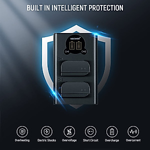 NEEWER DMW-BLK22 Replacement Battery and Charger Set, 2 Pack 2400mAh Batteries and Type C Dual Channel USB Charger, Compatible with Panasonic Lumix DC-S5 DC-S5 II DC-S5 IIX GH5 II GH6 S5II S5M2 GH5M2