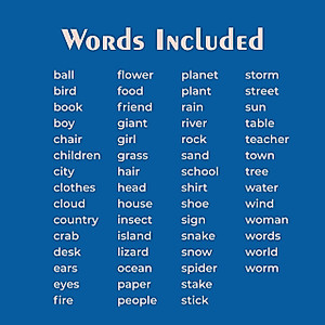 SnapWords® Nouns List 1 Teaching Cards - Sight Words Flash Cards