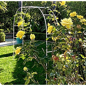 Adorox 7.5 Ft Metal Arch (Two Way Assemble) for Wedding Garden Bridal Party Decoration Arbor (Black)