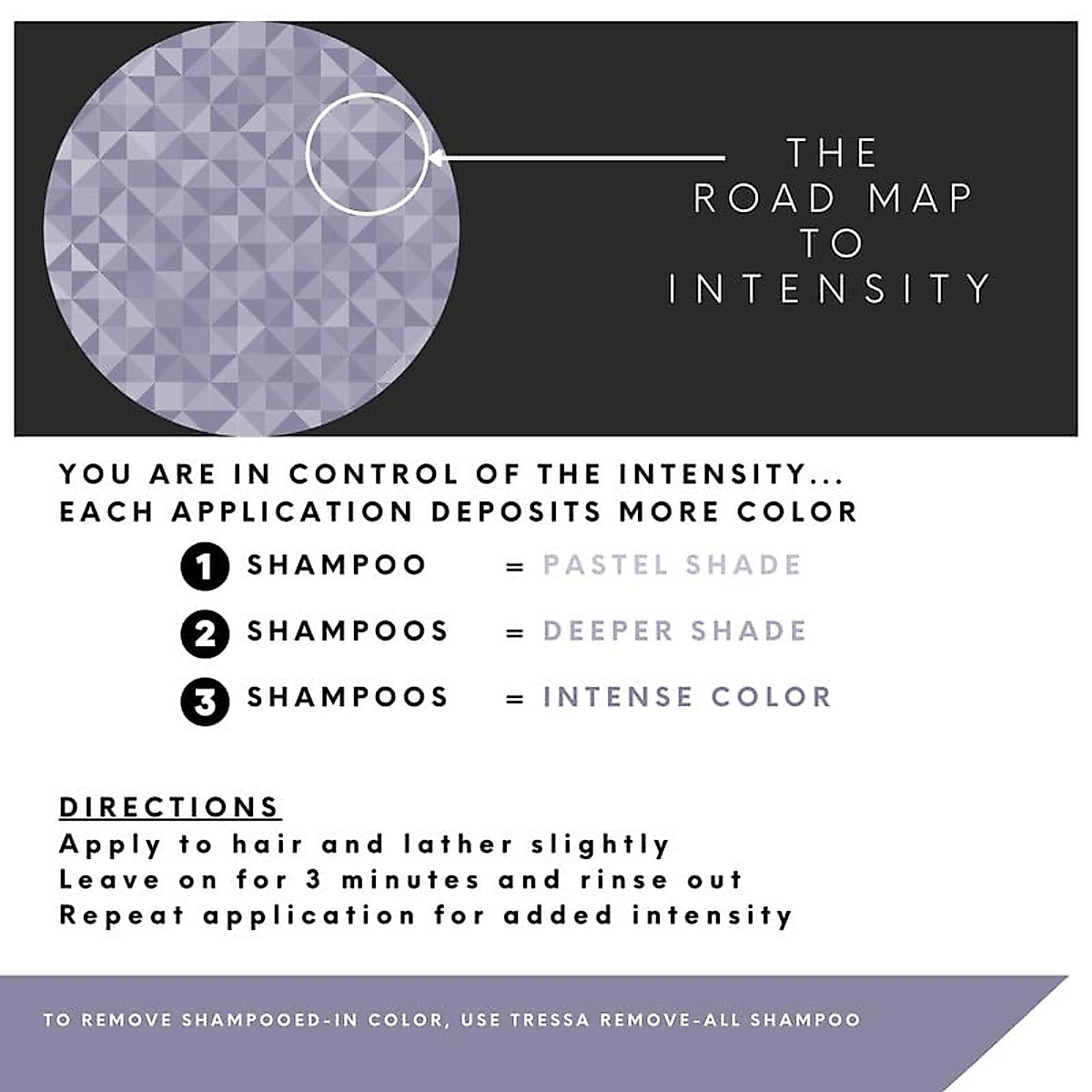 Watercolors INTENSE METALLIC Semi Permanet Color Depositing Shampoo-Sulfate & Paraben Free to Maintain & Enhance Hair Color 8 fl oz - SILVER (2 Count)