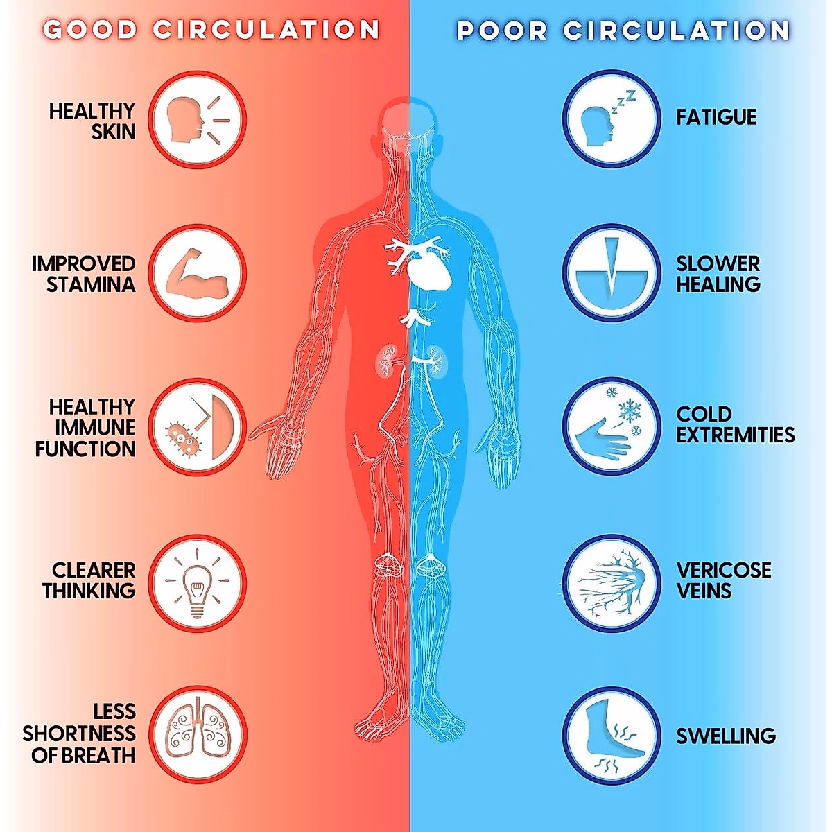 Kardovite Herbal Circulation Drops 100ml | Circulation Supplement with Hawthorn, Garlic, Cayenne, Milk Thistle, Bilberry, Valerian & Ginkgo | Supports Healthy Blood Flow & Vitality | Pack of 1