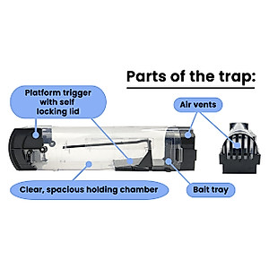 Home and Country USA Humane Mouse Trap - Our Mouse Traps are designed as a live mouse trap for those who want to quickly and easily remove a mouse the right way. (2)