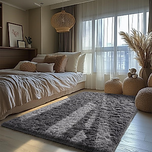 Zentavio Grey Area Rug for Living Room Bedroom 4x6 Soft Fluffy Fuzzy Furry Shaggy Aesthetic Carpet Plush High Pile Floor Throw Rug for Nursery Kids Room Dorm Room