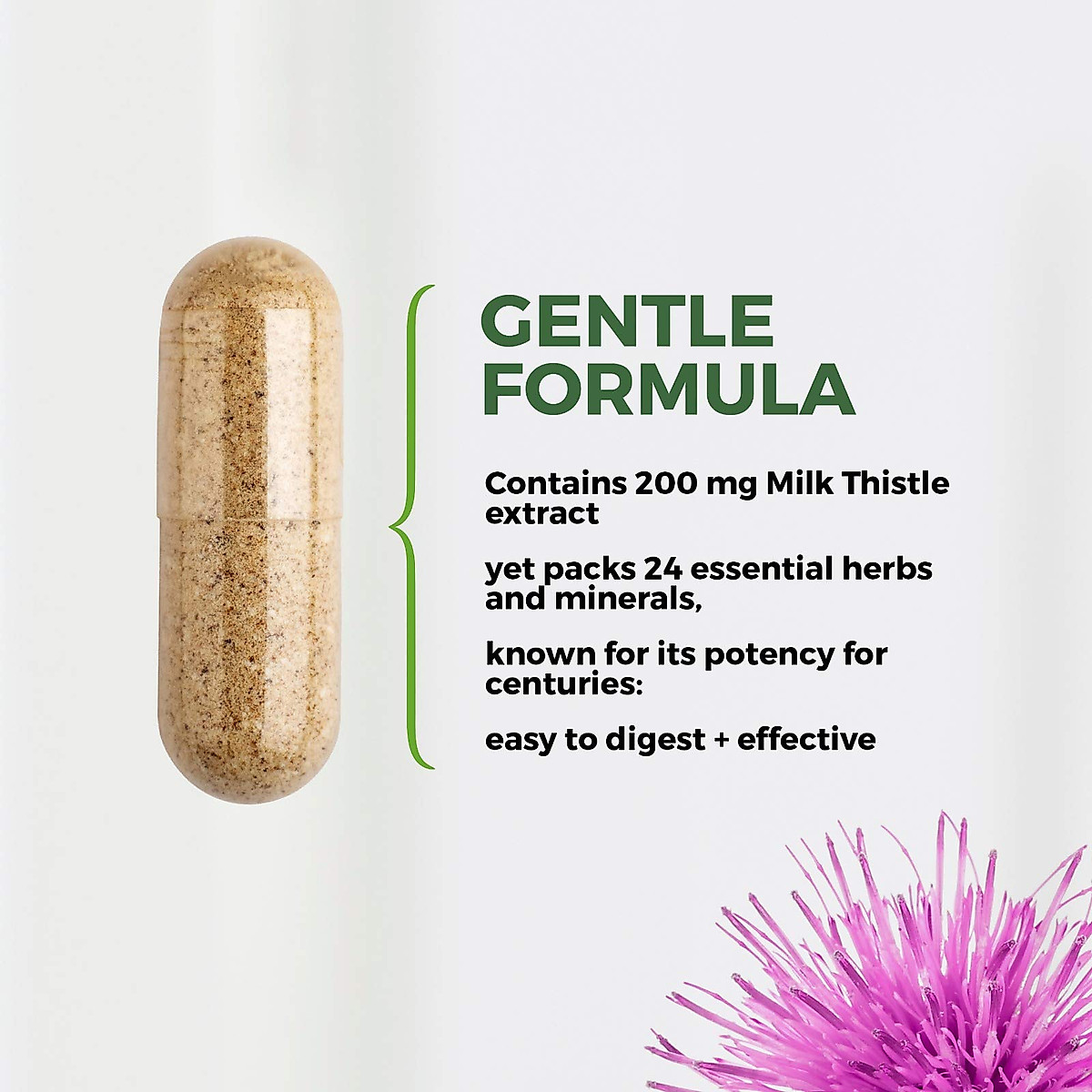 Liver Cleanse Supplement - Milk Thistle Extract Capsules - Natural 24 Potent Herbs: Formula - Promote Healthy Liver Function, All-in-One Liver Repair & Regeneration