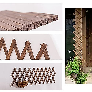 Avalution Extensible Natural Garden Wooden Fence Lattice Frame Plant Support Frame Natural Wooden Lattice Frame for Cucumber Climbing Plant Vines Ivy Rose 75"x11.8" Lattice Fence Panel(2Pack)