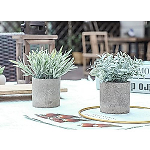 Der Rose 6pcs Mini Potted Fake Plants Small Artificial Plants for Home Farmhouse Bathroom Desk Office Decor