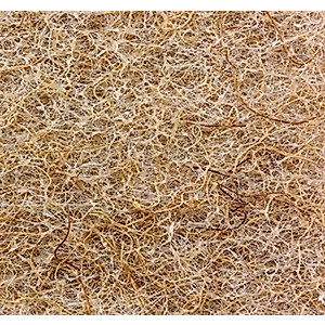 SCRUBIT Natural Sponges - 10 Pack Biodegradable Compostable Cellulose and Coconut Natural Sponges for Dishes, Eco Friendly Non Toxic Kitchen Sponge