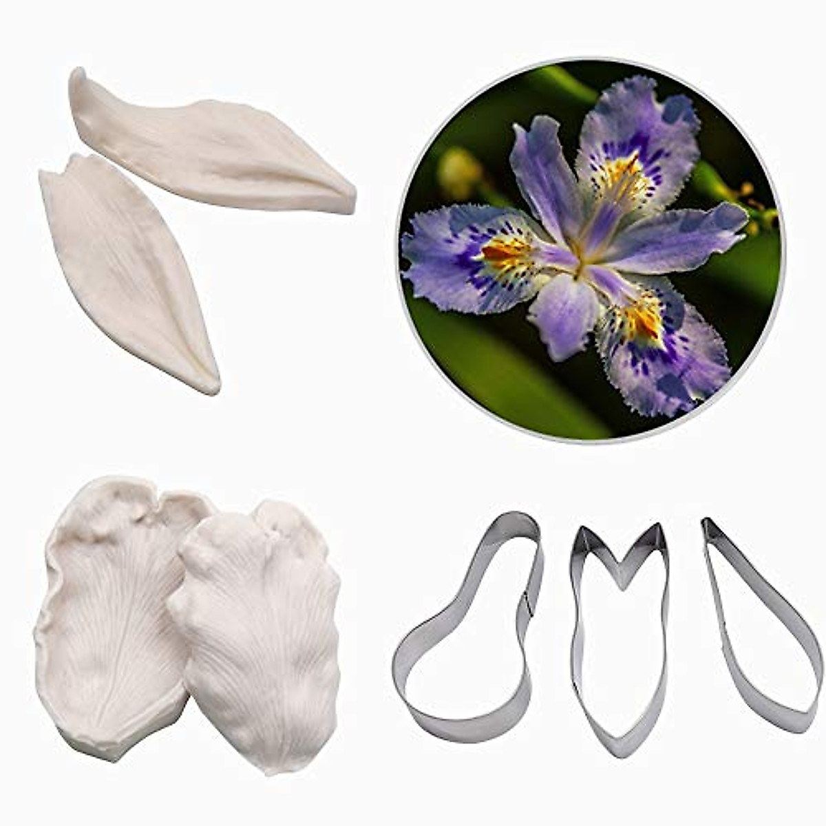 AK ART KITCHENWARE Gum Paste Flower Making Tools Flower-de-luce Petal Veiner Stainless Steel Petal Leaf Cutters Gum Paste Flower Molds Veining Mold for Wedding Cake Decorating Supplies