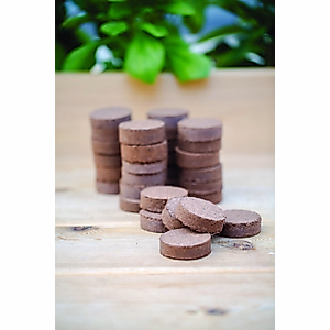 Burpee 32 Count Coir XL Super Growing Pellet 35mm