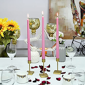 Zest Candle 12-Piece Taper Candles, 12-Inch, Pink