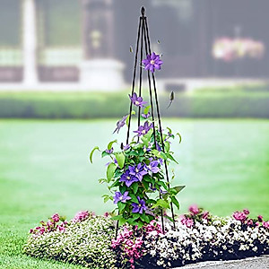 Lalahoni 2 Pack Garden Trellis for Climbing Plants Outdoor Indoor Pot | 67inch Tall Plants Trellis Support for Climbing Vines Vegetables Plants | Garden Obelisk Trellis, Lightweight, Black