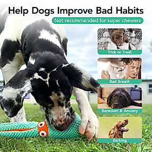 Wigglo Dogs Plush Toys, Squeaky Octopus Dog Stuffed Toys, Durable Dog Chew Toys for Puppy Small Medium Large Boredom Dogs Interactive, Tug-of-war, Stimulating, Teething (Green)