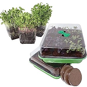 Window Garden Microgreens Grow Kit - Assorted Microgreen Seeds, Indoor Starter Growing Kit -Window Garden 20 Cavity Seed Propagation Kits (2) – Complete with Fiber Soil