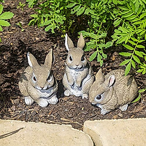 Besti Bunny Statue Yard Garden Decorations (3 Bunnies) | Cute Rabbits Look Great in Any Outdoor Living Space | Small Bunnies Can Also Be Used for Kitchen & Table Decor | 2-7/8 x 4 x 4-1/4 Inches