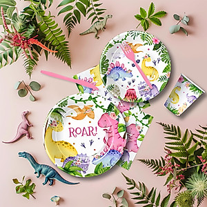 Srua Don Dinosaur Birthday Party Supplies Girl - Dinosaur Party Decorations Tableware, Paper Plate, Cup, Napkins, Tablecloth, Cutlery, Banner, Pink Dinosaur Birthday Baby Shower Decorations | Serve 24