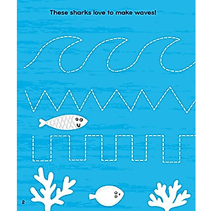 Big Wipe Clean Tracing and Pen Control Activity Book for Kids Ages 3 to 5 (Start Little Learn Big Series)