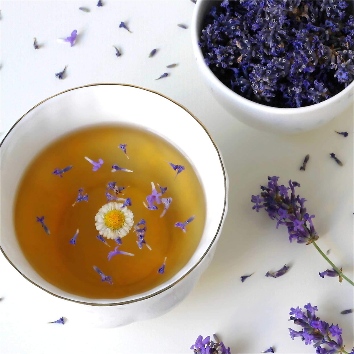 AeroGarden Fresh Tea Seed Kit, 7-Pod