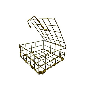 Protoco Bait Box, Medium, 6 X 6 X 3-Inch