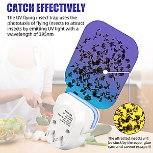 2 Pack Upgraded Fly Traps Indoor for Home with 20 Glue Cards,Gnat Traps for House Indoor Plug In Bug Catcher Flying Insect Trap with UV Light for Fruit Flies,Gnat,Moth,Mosquito,400 Sq Ft of Protection