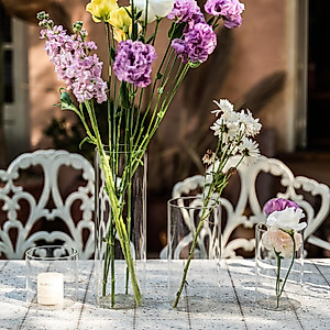 Devilfire 12Pcs Glass Cylinder vases for Centerpieces, 6 Inches Tall Flower Vases Wedding Decorations,Bulk Cylinder Flower& Plant Vases,Hurricane Candle Holder for Table Shelf, Party.