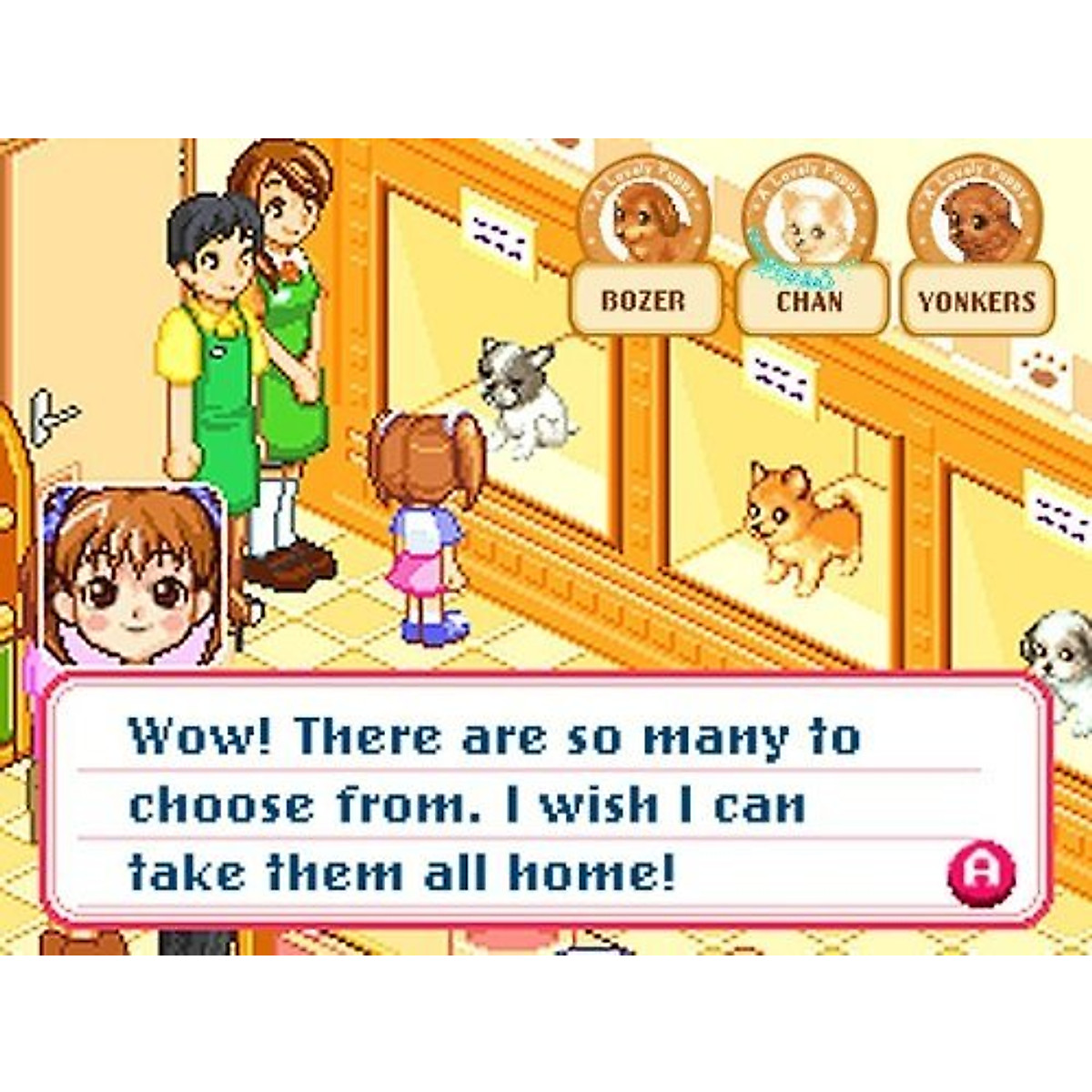 Dogz - Nintendo DS (Renewed)