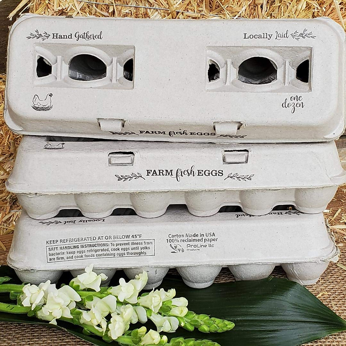 250 Egg Cartons – Vintage Design with Blank Center for Your Custom Stamp at a Cheap Bulk Price, 100% Recycled Biodegradable Cardboard Cartons, Sturdy & Reusable, Holds Small to XL Chicken Eggs