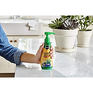 Scotts Succulent Plant Food, 8 oz., For Succulents including Cacti, Jade, And Aloe, 6 Pack